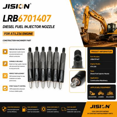 China LRB6701407 Diesel Fuel Injector Nozzle for AT4.236 Engine Construction Machinery Spare Parts Fuel Injection Nozzle Replacement for sale
