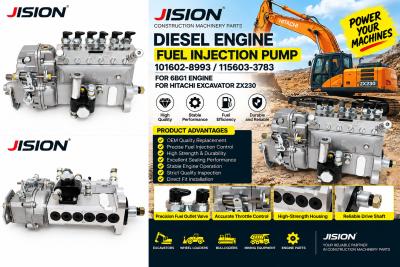 China 101602-8993 115603-3783 Fuel Injection Pump for 6BG1 Diesel Engine ZX230 Excavator for sale