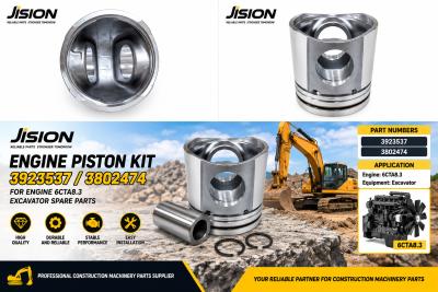China 3923537 3802474 Engine Piston Kit for 6CTA8.3 Excavator Diesel Engine Spare Parts for sale