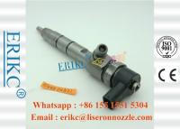 China ERIKC 0445110521 Original Replacement Injector 0 445 110 521 For BOS Common Rail Injector 0445 110 521 for JMC for sale