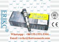 China ERIKC 0445110537 bico injection pump injector 0 445 110 537 vehicle injection system 0445 110 537for YANGCHAI for sale