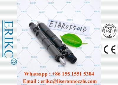China EJBR05501D Valve Injector For Delp 33800-4X450 5501D Auto Parts Injection for sale