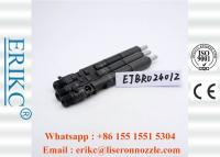 China EJBR02401Z CRDI For Delp Diesel Injectors R02401Z Common Rail Injection System  For KIA for sale