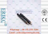 China EJBR02101Z For Delp Injection Pump Parts Fuel Pump Dispenser Injector 2101Z for sale