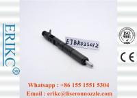 China Diesel Original For Delp Injectors Injector Excavator 2501Z EJBR02501Z for sale