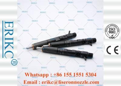 China EJBR01701Z Common Rail Injector For Delp  8200365186 Valve Injector For Delp EJBR0 1701Z for sale