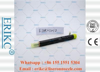 China ERIKC Genuine For Delp Injectors Car Oil Diesel Unit Injector EJBR0 1201Z for sale