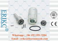 China 095000 6700 Fuel Injection Pump Repair DLLA155P965 E1022002 O Ring Pin for sale