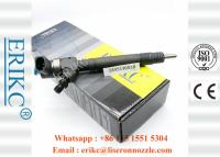 China ERIKC Auto Fuel Injector 0 445 110 010 For BOS Common Rail Injector 0445 110 010 Diesel Pump 0445110010 for sale