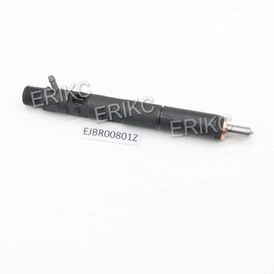 China ERIKC EJB R00801Z Auto Fuel Injector EJBR0 0801Z Fuel Pump Assembly EJBR00801Z For Delp for sale