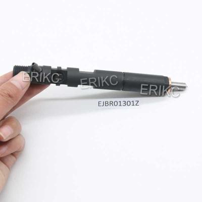 China ERIKC EJBR0 1301Z Common Rail Injectors EJB R01301Z Heavy Truck Injector EJBR01301Z For Delp for sale