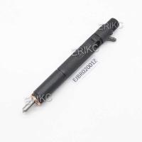 China EJBR02001Z Diesel Fuel Injector EJB R02001Z Common Rail Injector EJBR0 2001Z For Delp for sale