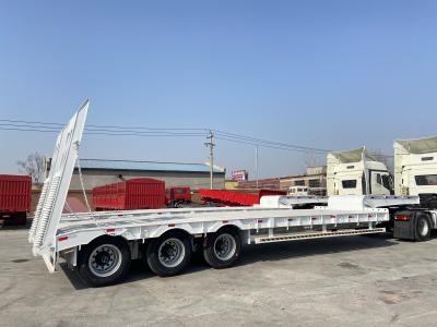 China Double Money Tire Car Semi Trailer with Load Capacity of 15T and 53 Feet Length for sale