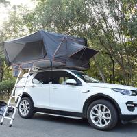 China Car Roof Top Tent Hard Shell ABS Material 2 Person Travel Camp Tent Roof Tent for Pickup SUV Wrangler Land Cruiser for sale