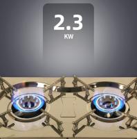 China Outdoor Camping High Quality 2-in-1 Double Burner Gas Stove Kit Portable Lightweight Safety Propane Butane Gas Stove for sale