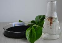 China Dark Soil Potassium Humate with 85% Total Humic Extract Www.sunmatte.com for sale