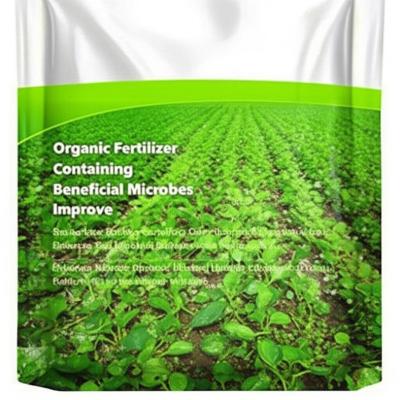 China Organic Fertilizer Containing Beneficial Microbes Improves Soil Microbial Balance and Enhances Nutrient Uptake in Plants for sale
