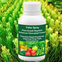 China Foliar Spray Plant Growth Regulator Enhances Chlorophyll Content Promotes Rapid Growth and Improves Crop Yield Consistency for sale