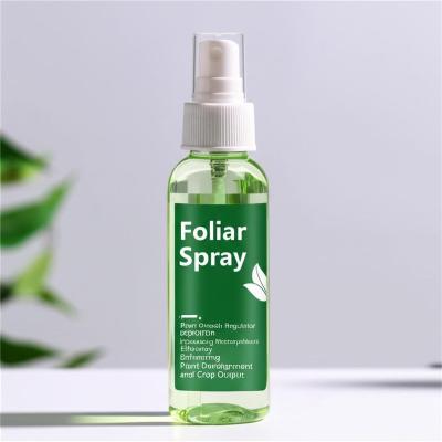 China Foliar Spray Plant Growth Regulator Increasing Photosynthesis Efficiency Enhancing Plant Development and Crop Output for sale