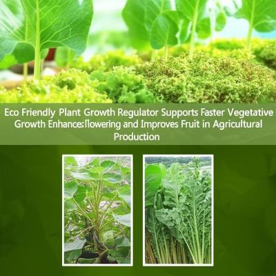 China Eco Friendly Plant Growth Regulator Supports Faster Vegetative Growth Enhances Flowering and Improves Fruit in Agricultural Production for sale
