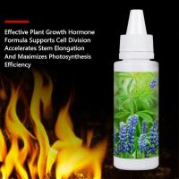China Effective Plant Growth Hormone Formula Supports Cell Division Accelerates Stem Elongation And Maximizes Photosynthesis Efficiency for sale