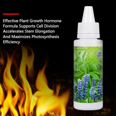 China Effective Plant Growth Hormone Formula Supports Cell Division Accelerates Stem Elongation And Maximizes Photosynthesis Efficiency for sale