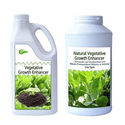 China Natural Vegetative Growth Enhancer Enhances Leaf Development and Boosts Photosynthesis Efficiency in Various Crop Types for sale
