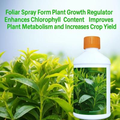 China Foliar Spray Form Plant Growth Regulator Enhances Chlorophyll Content Improves Plant Metabolism and Increases Crop Yield for sale
