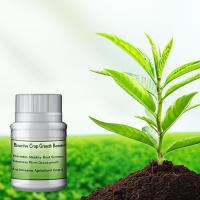 China Bioactive Crop Growth Booster Promotes Healthy Root Systems Enhances Plant Development And Increases Agricultural Output for sale