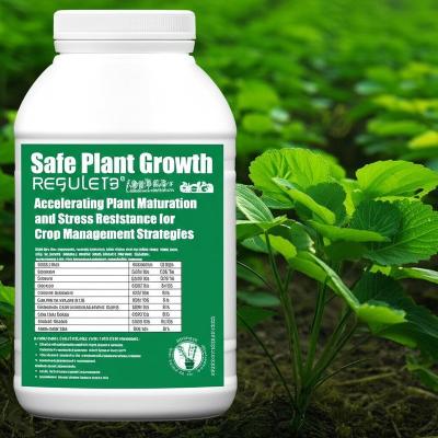 China Safe Plant Growth Regulator Accelerating Plant Maturation and Stress Resistance for Optimized Crop Management Strategies for sale