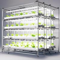 China Modular Aeroponic Grow System Designed for Scalable Indoor Farming Solutions Enhancing Crop Yield and Resource Management for sale