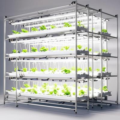 China Modular Aeroponic Grow System Designed for Scalable Indoor Farming Solutions Enhancing Crop Yield and Resource Management for sale