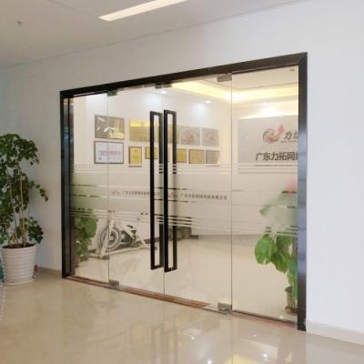 China SQ-DTH120 Aluminum Pivot Doors with Secure Locking System - Custom Sizes & Powder Coated All-Weather Finish for sale
