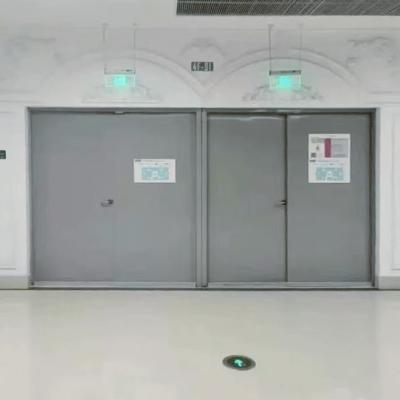 China Custom Steel Security Swing Doors - High Security Pre-hung Installation with Weather Resistance and Soundproofing for sale