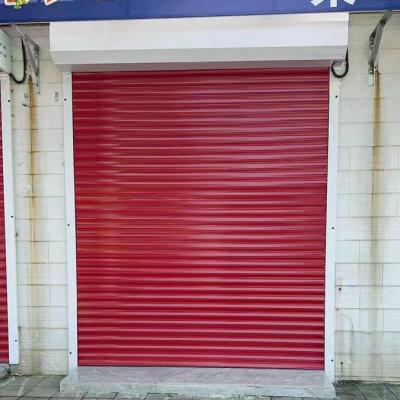 China 80mm & 100mm Aluminum Rolling Shutter with Dooya Tubular Motor 110V/220V - 3 Year Warranty for sale