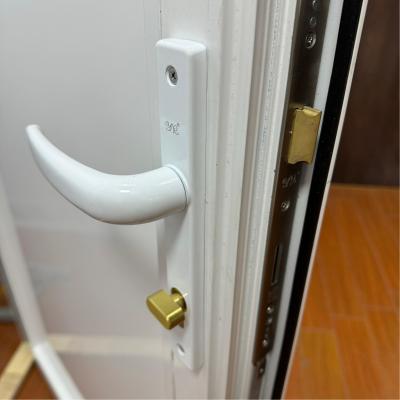 China Weather Resistant Aluminim Hinged Doors Customized High Quality Double Temper Glass for sale