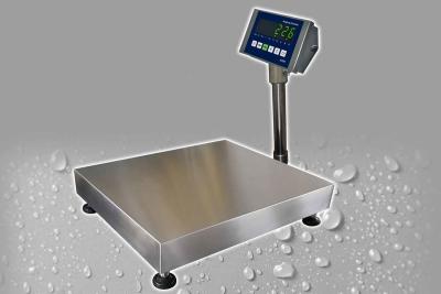 China BSSH226 Series Platform Type Weighing Scale , Stainless Steel Weighing Scale for sale
