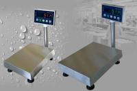 China Green LED Display Stainless Steel Bench Scale Heavy Duty 600kg Weighing for sale