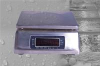 China IP68 Waterproof Electronic Weighing Scale 30kg Stainless Steel ATG-S for sale