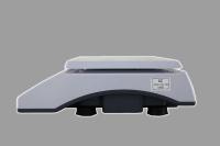 China Commercial Stainless Steel Weighing Scale 30kg Capacity 0.1g Readability for Grocery Store for sale