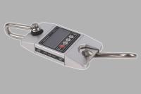 China 300kg Industrial Crane Scale Heavy Duty Hanging Scale with ABS Plastic Housing for sale