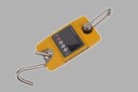 China 300kg Industrial Crane Scale Heavy Duty Hanging Scale with ABS Plastic Housing for sale