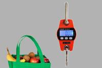 China 50g/100g Accuracy Digital Weight Hanging Scale , Crane Weighing Machine for sale