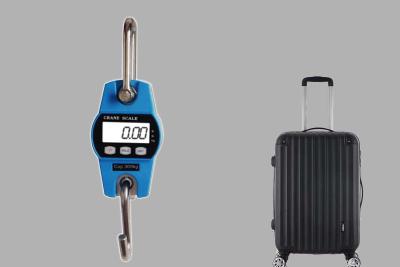 China LCD Display Electronic Crane Scale SF916 300kg Capacity 100g Accuracy ABS Housing for sale