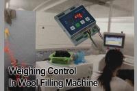 China DIN Rail Housing LED Display Weight Transmitter with PLC or DCS System for sale