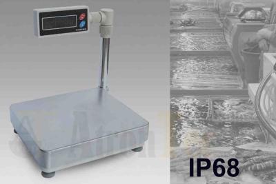 China Mini Portable Platform Scale With Capacity 3kg - 60kg Low Voltage Alarm Function for sale