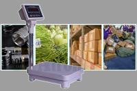 China IP68 Waterproof Platform Weighing Scale 300x400mm LED Display 150kg Capacity for sale
