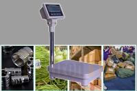 China IP68 Waterproof Weighing Scale Indicator 30-300kg Capacity 400x500mm Platform LCD Display for sale