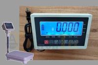 China IP68 Waterproof Weighing Scale Indicator 30-300kg Capacity 400x500mm Platform LCD Display for sale