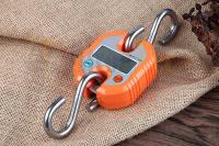 China LCD Display Mini Crane Scale 100kg 150kg Capacity High Precision Load Cell for sale